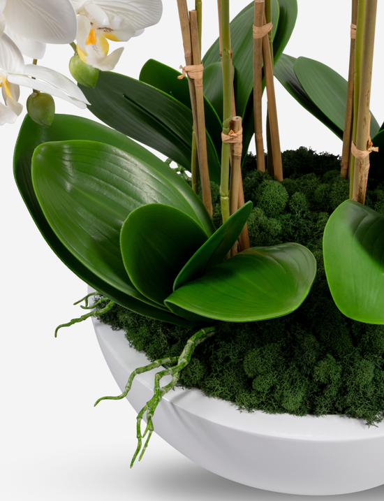 Jetta Oversized RealTouch Orchid Arrangement – CocoBella
